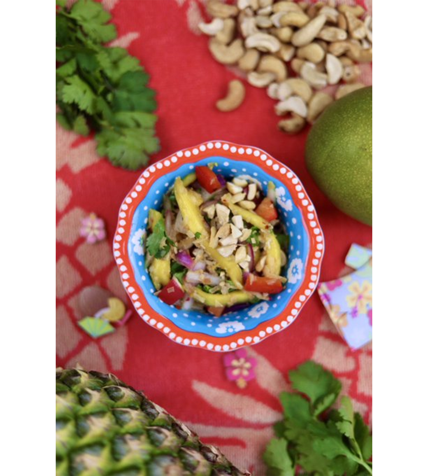 ToeJam & Earl's Funky Fresh Foods of Funkotron Cookbook (Hardcover ...